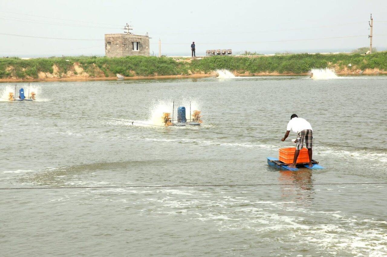 BMR Group | BMR Group