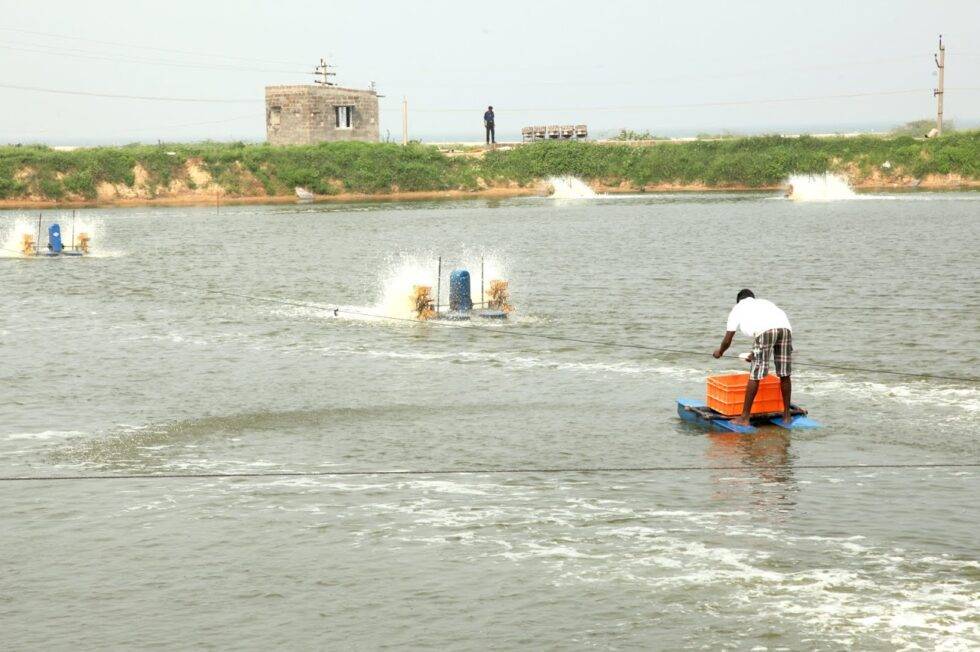 BMR Group | BMR Group