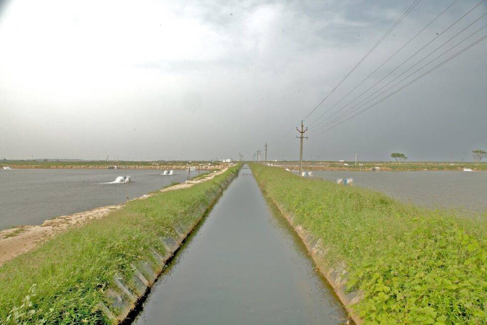 BMR Group | BMR Group